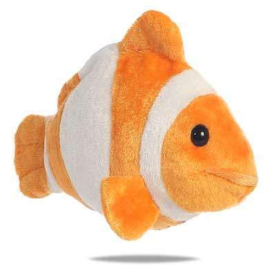 fish - Teddy and Co